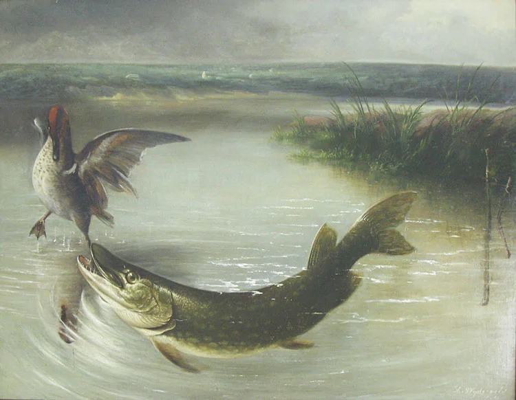 Muskie Paintings