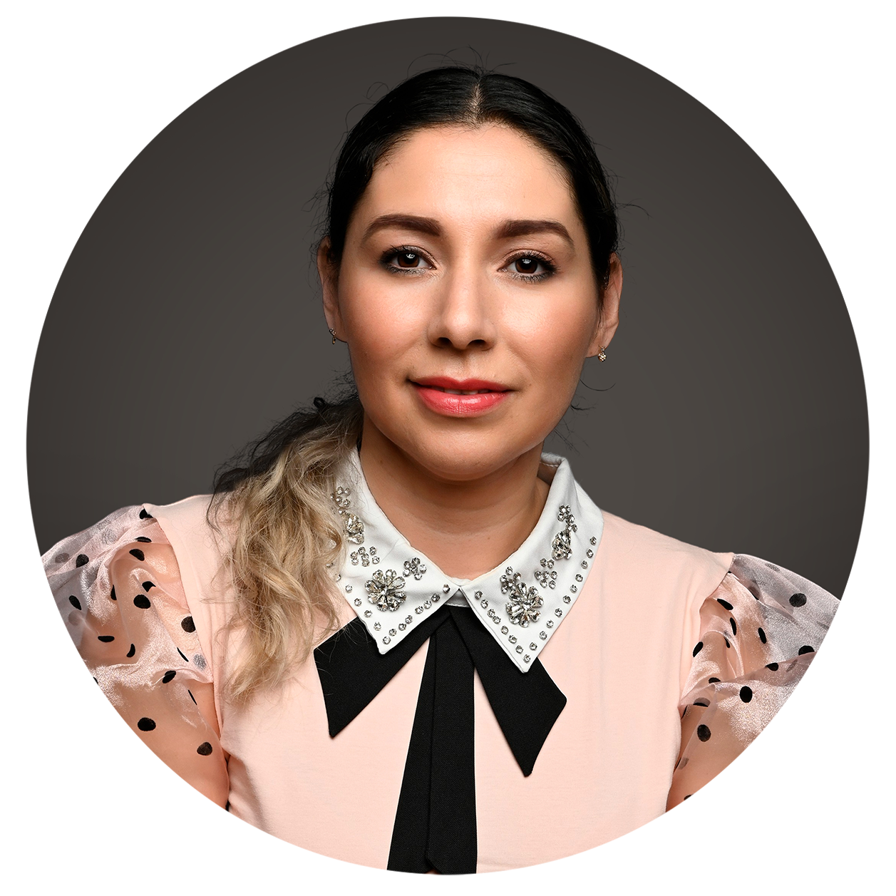 Nuestro Equipo — The Concilio