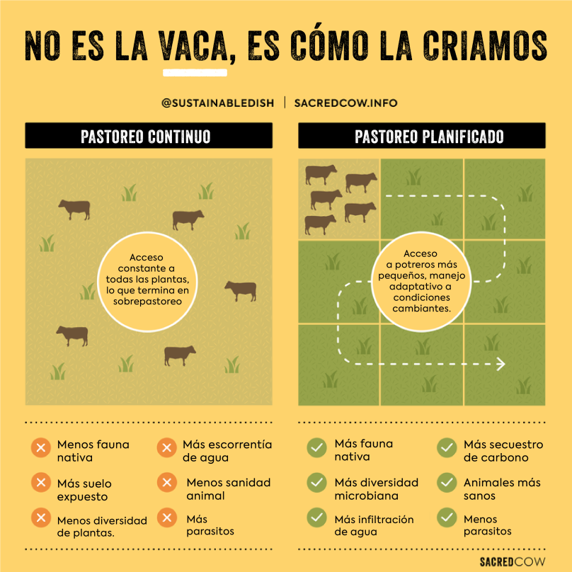 Infographic En Espanol