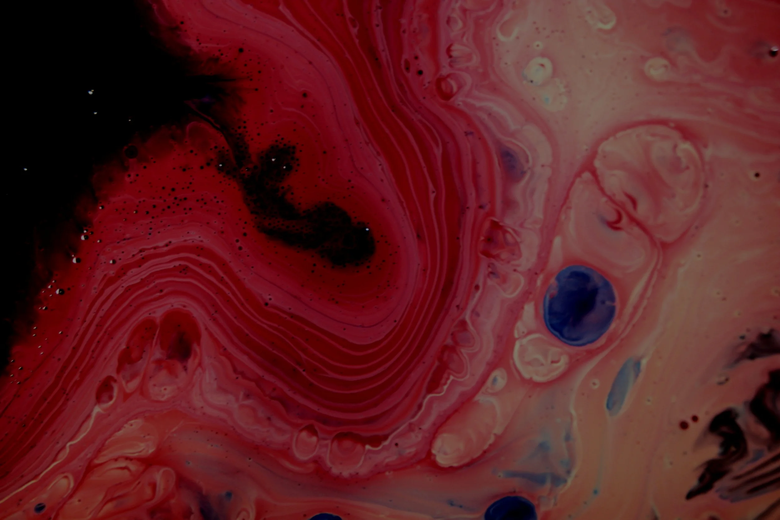 Products — Presplus