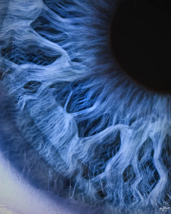 Eye Associates of Lexington