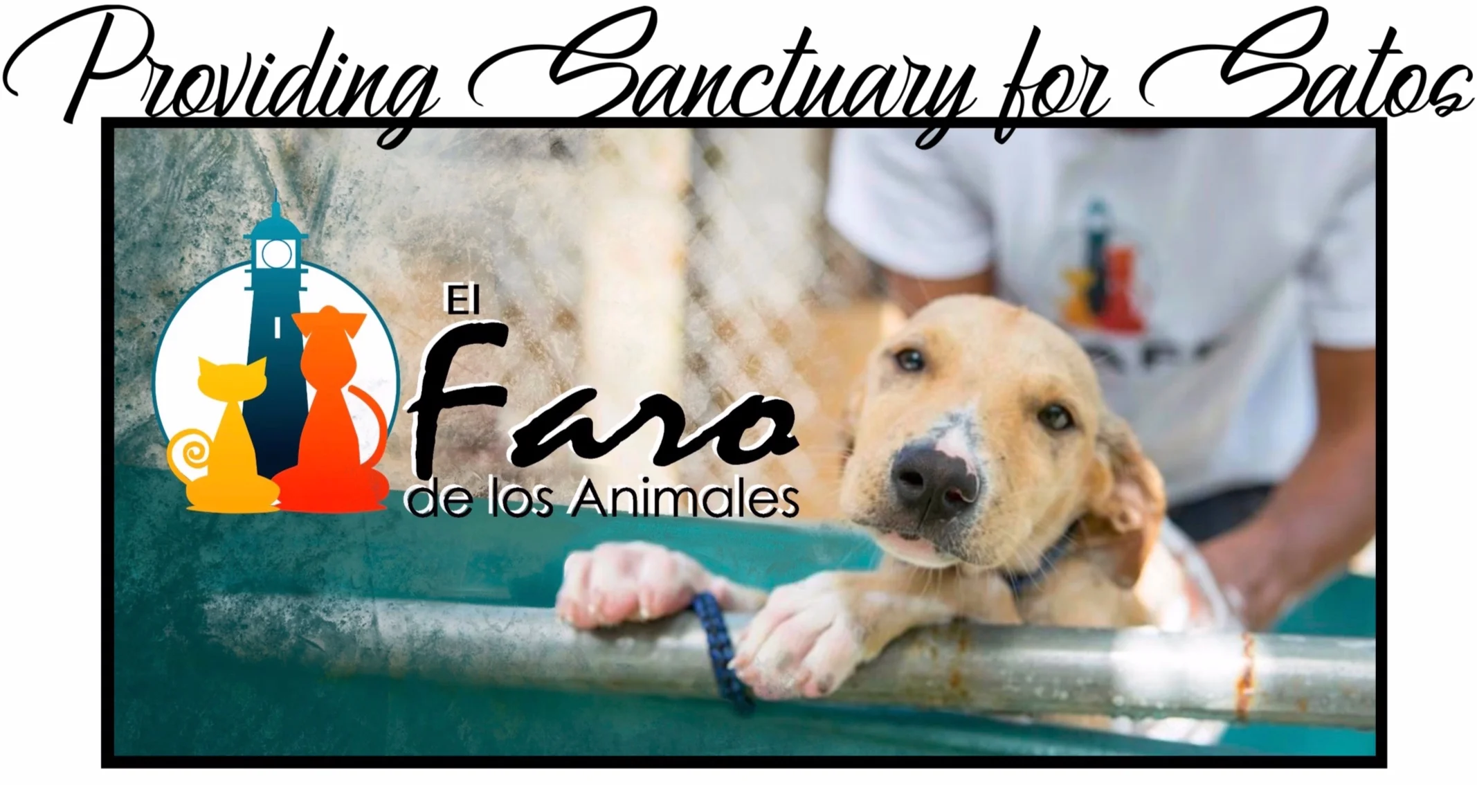 El Faro de los Animales