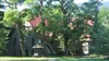 Zen Mountain Monastery / Doshinji — Soto Zen Buddhist Association