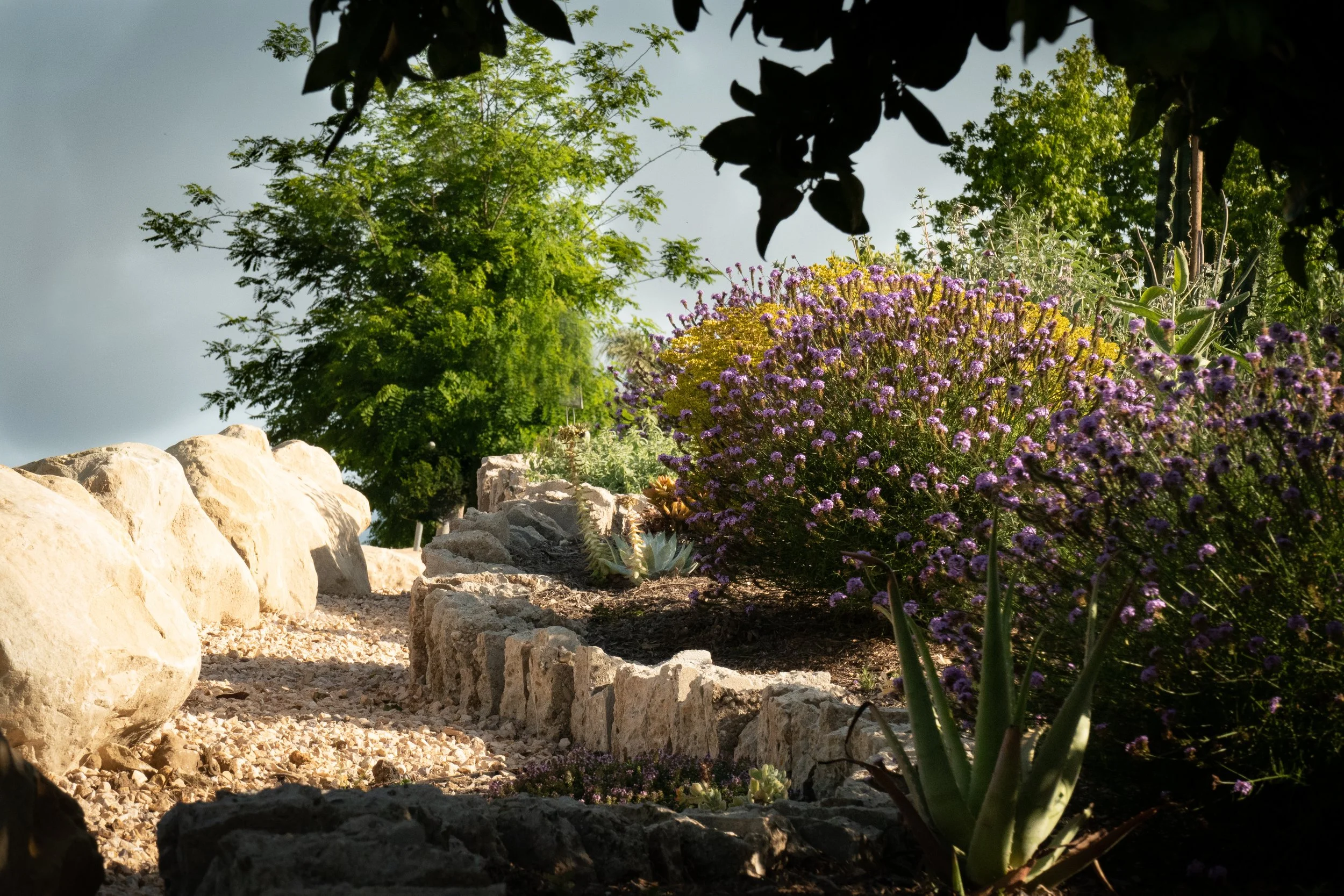 Landscape Architecture Blog