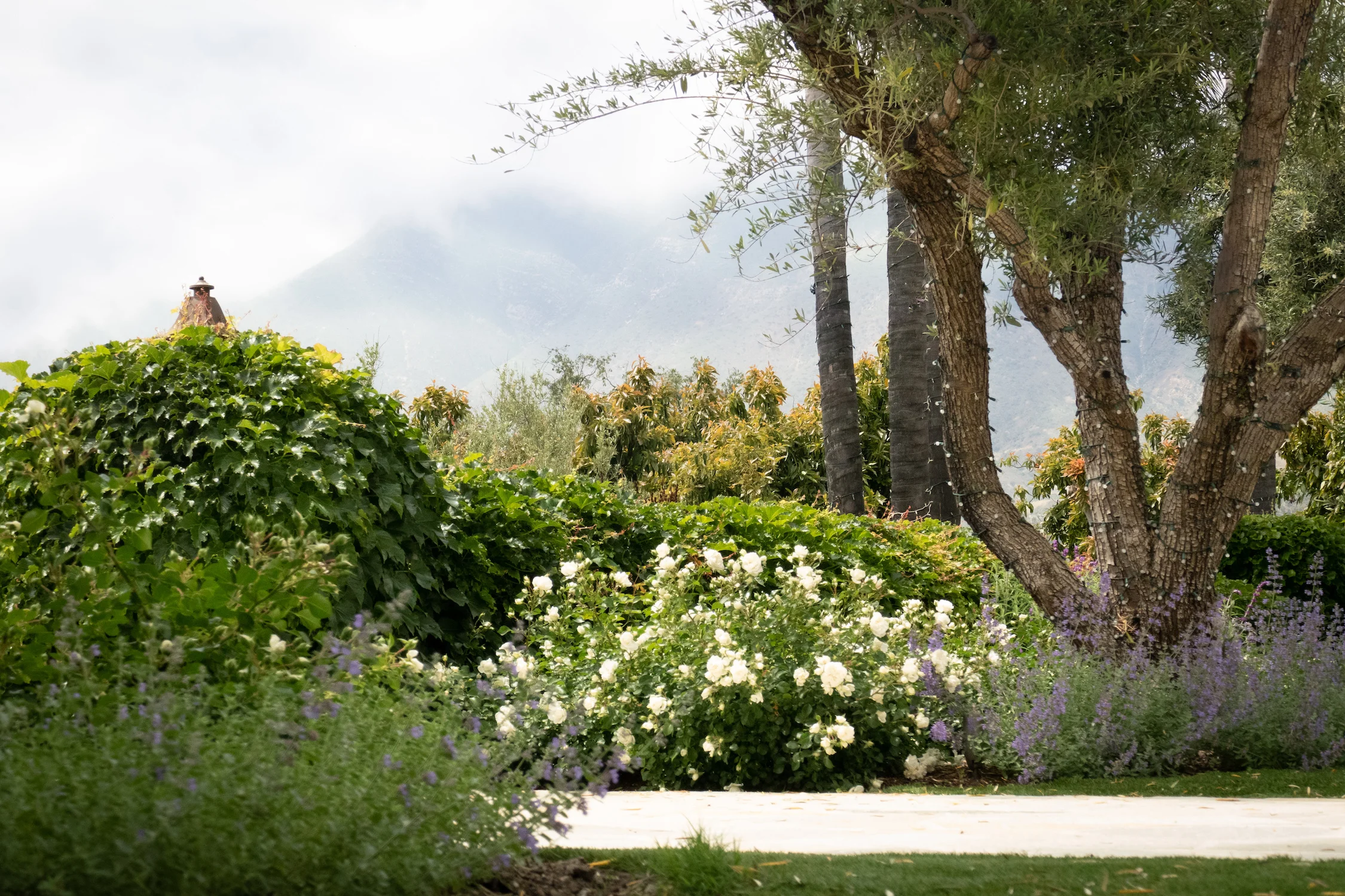 Mediterranean Estate — Sweet Smiling Landscapes, Landscape Design