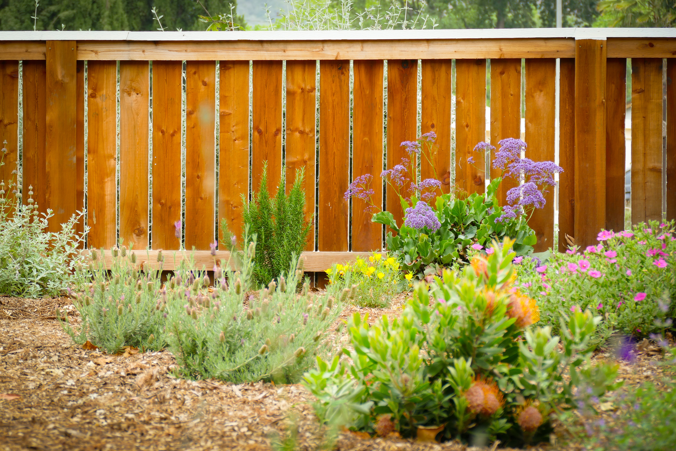 Backyard Bliss — Sweet Smiling Landscapes, Landscape Design