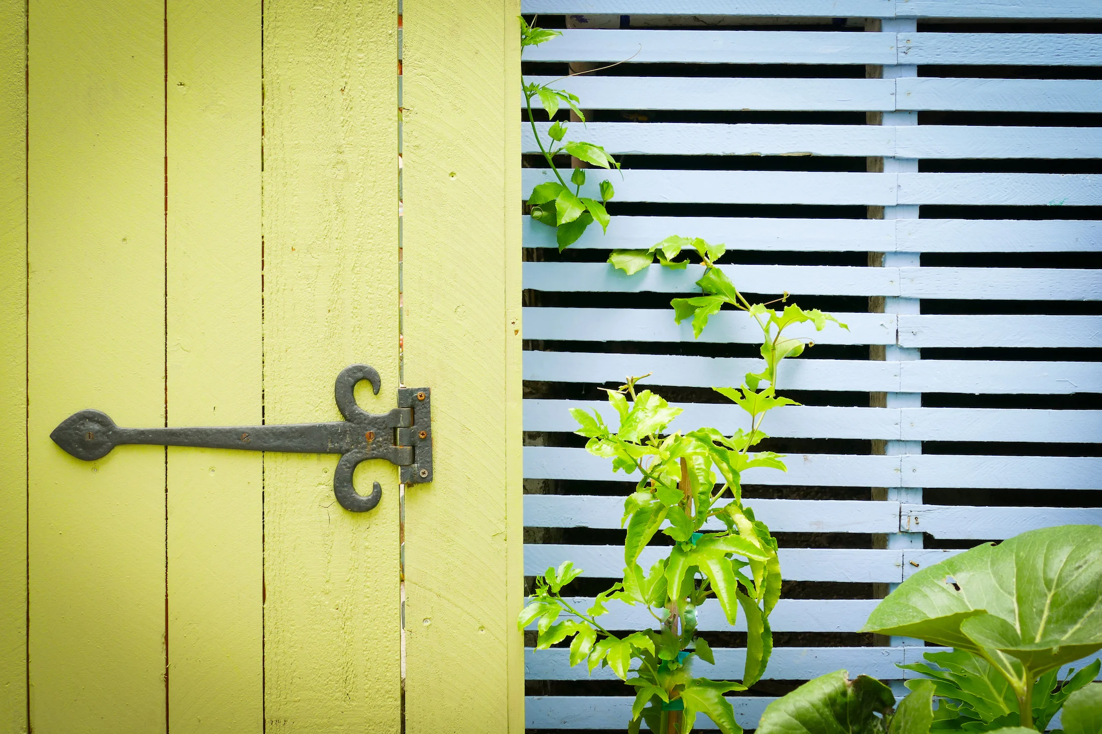 Upcycled Sideyard — Sweet Smiling Landscapes, Landscape Design