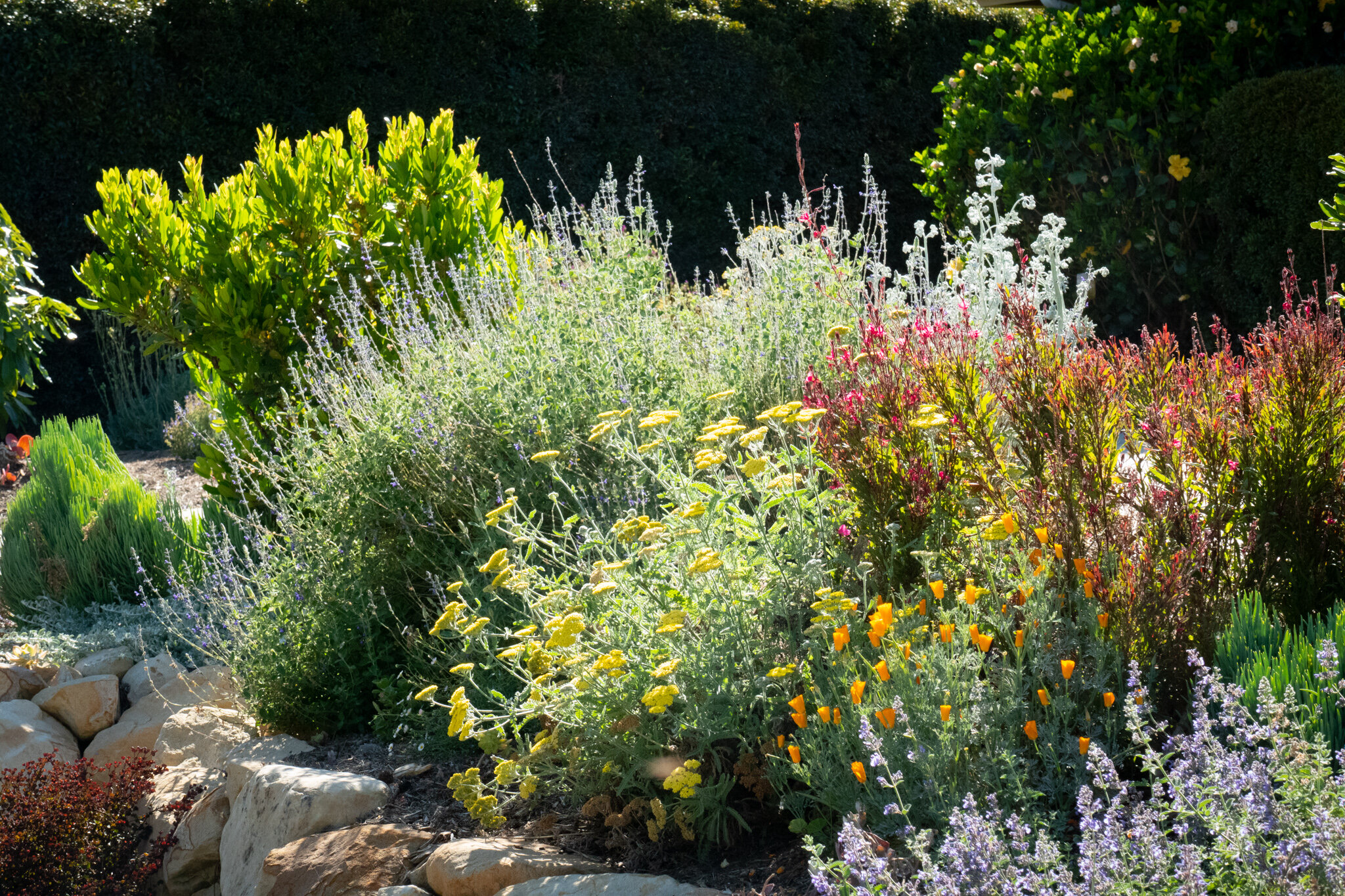 Landscape Design Projects — Sweet Smiling Landscapes, Landscape Design