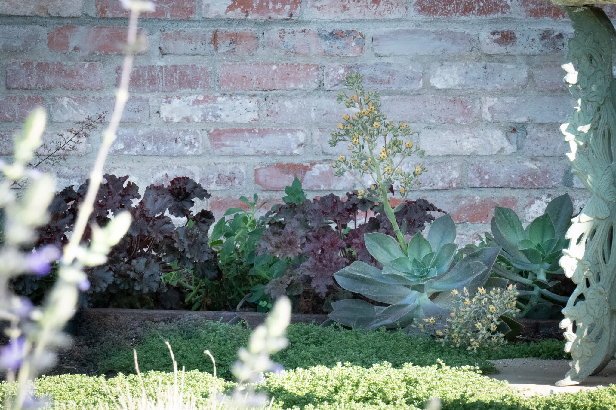 Drought Tolerant Landscape Design-Low Water Love — Sweet Smiling ...