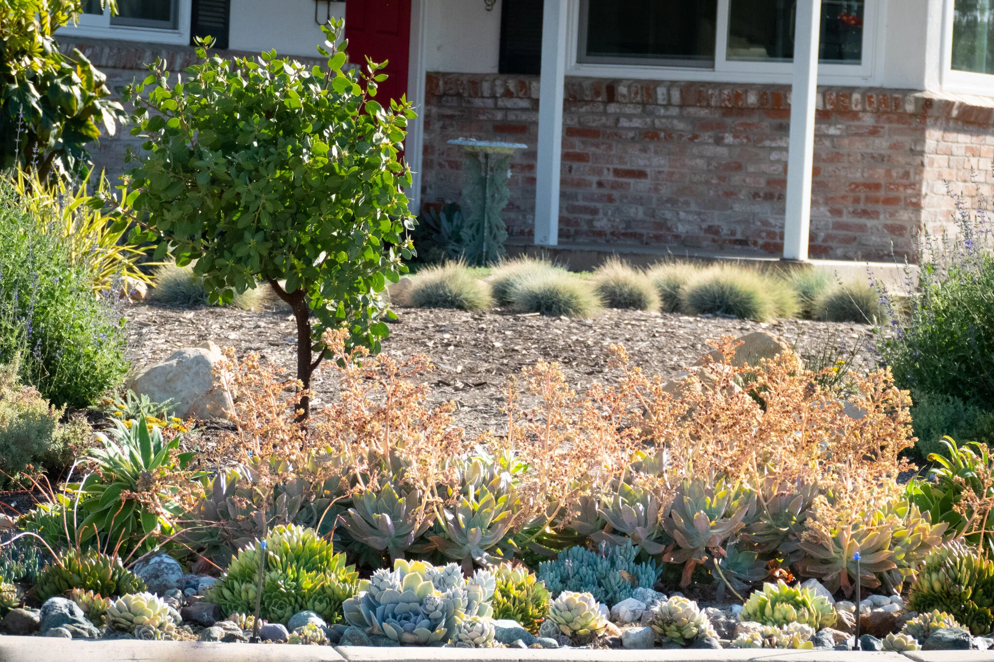 Drought Tolerant Landscape Design-Low Water Love — Sweet Smiling ...