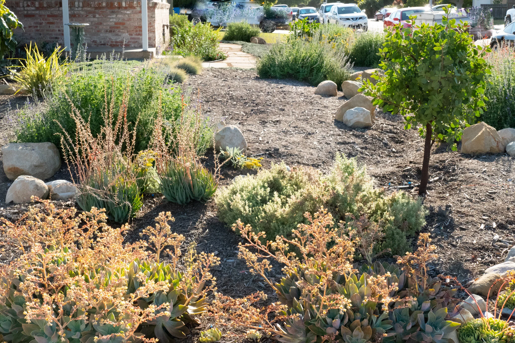 Drought Tolerant Landscape Design-Low Water Love — Sweet Smiling ...