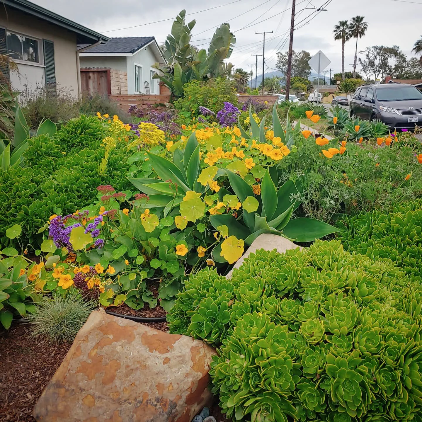 Lawn Be Gone — Sweet Smiling Landscapes, Landscape Design