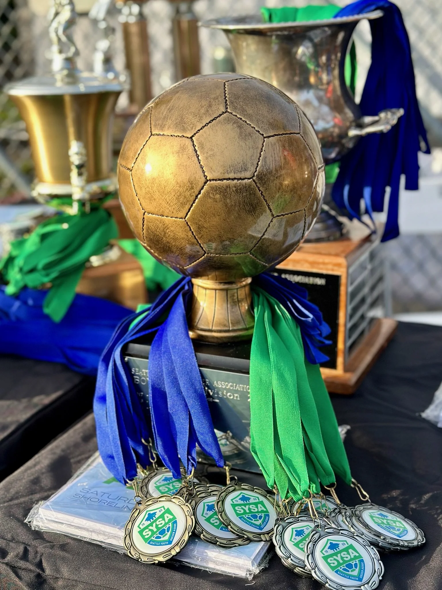 Seattle Youth Soccer Association (SYSA)