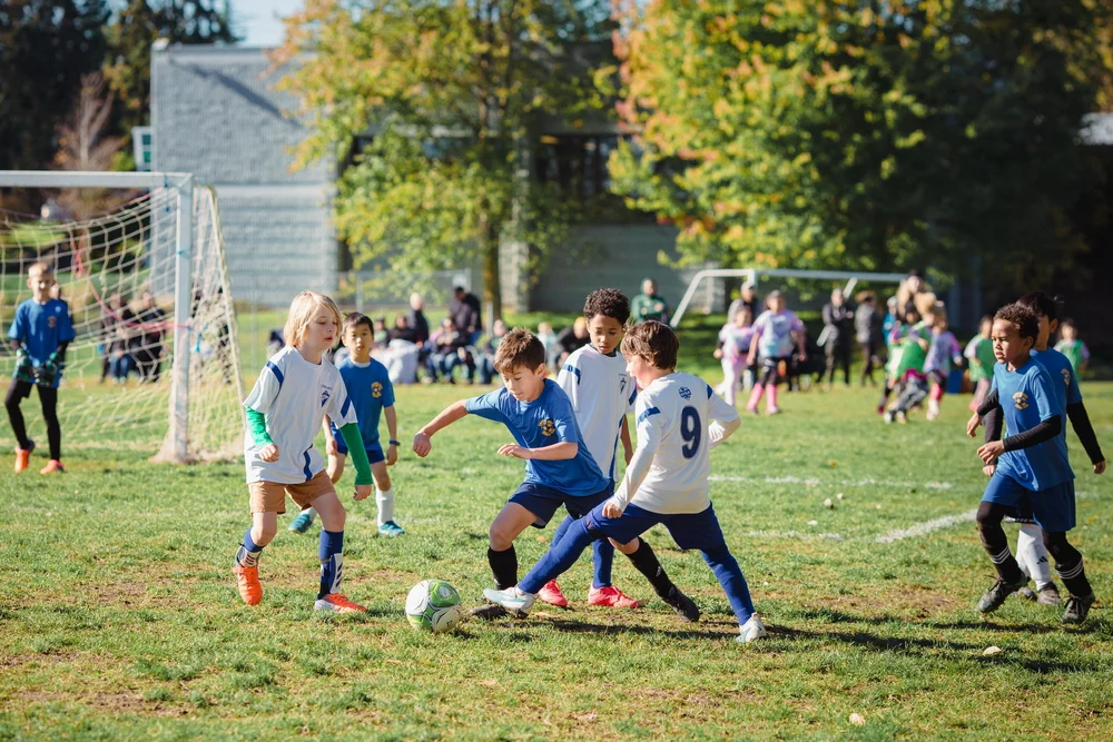 SYSA Fall 2023 Photo Contest Winners! Action Category — Seattle Youth ...