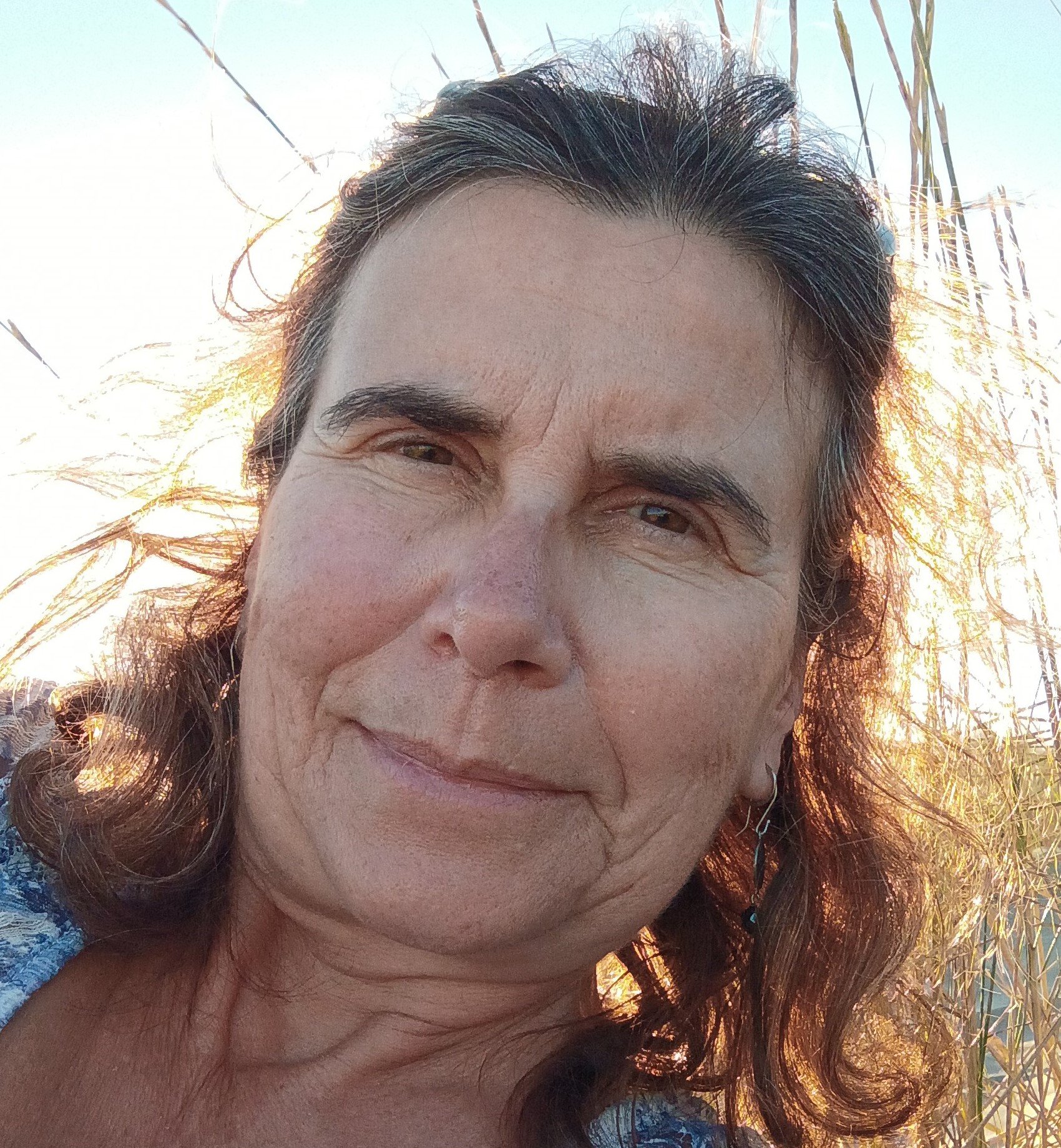 Quelle voix/voie choisir ? — MYRTILE Dominique Chailan, Raconteuse d'Histoires, Art Thérapie