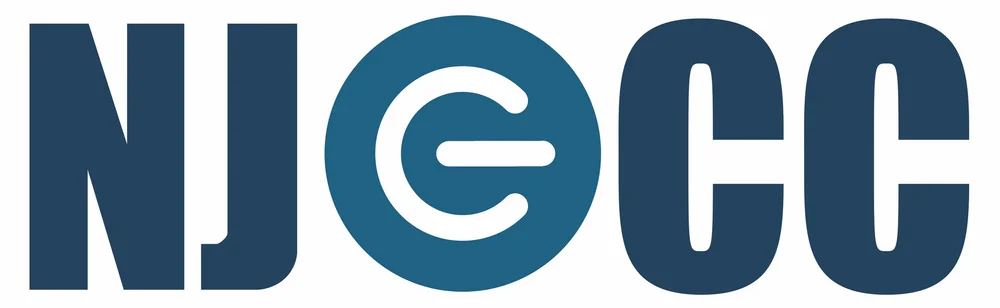 Contracts — WHITE ROCK CYBERSECURITY