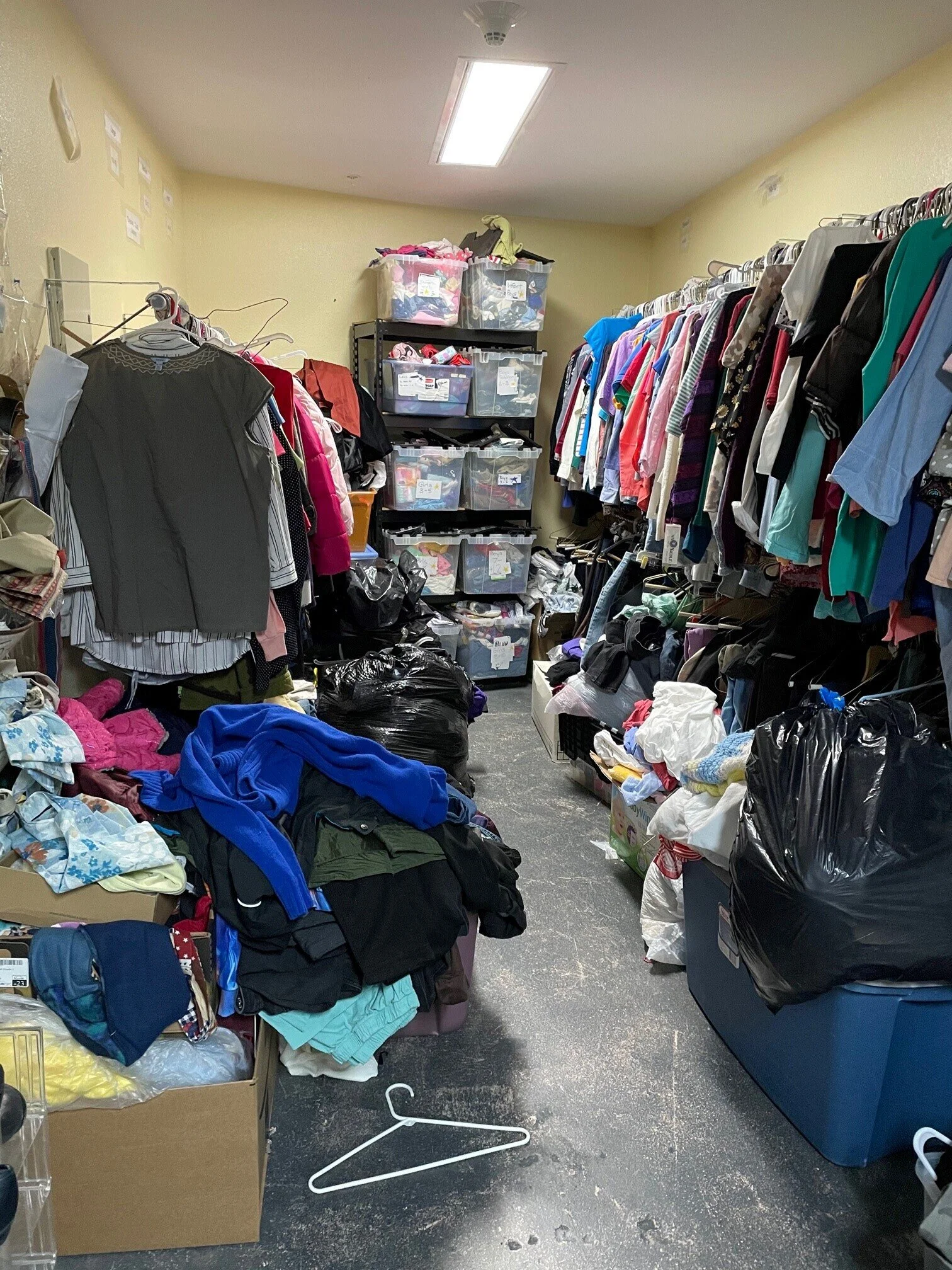 Volunteer — The Barrett Foundation
