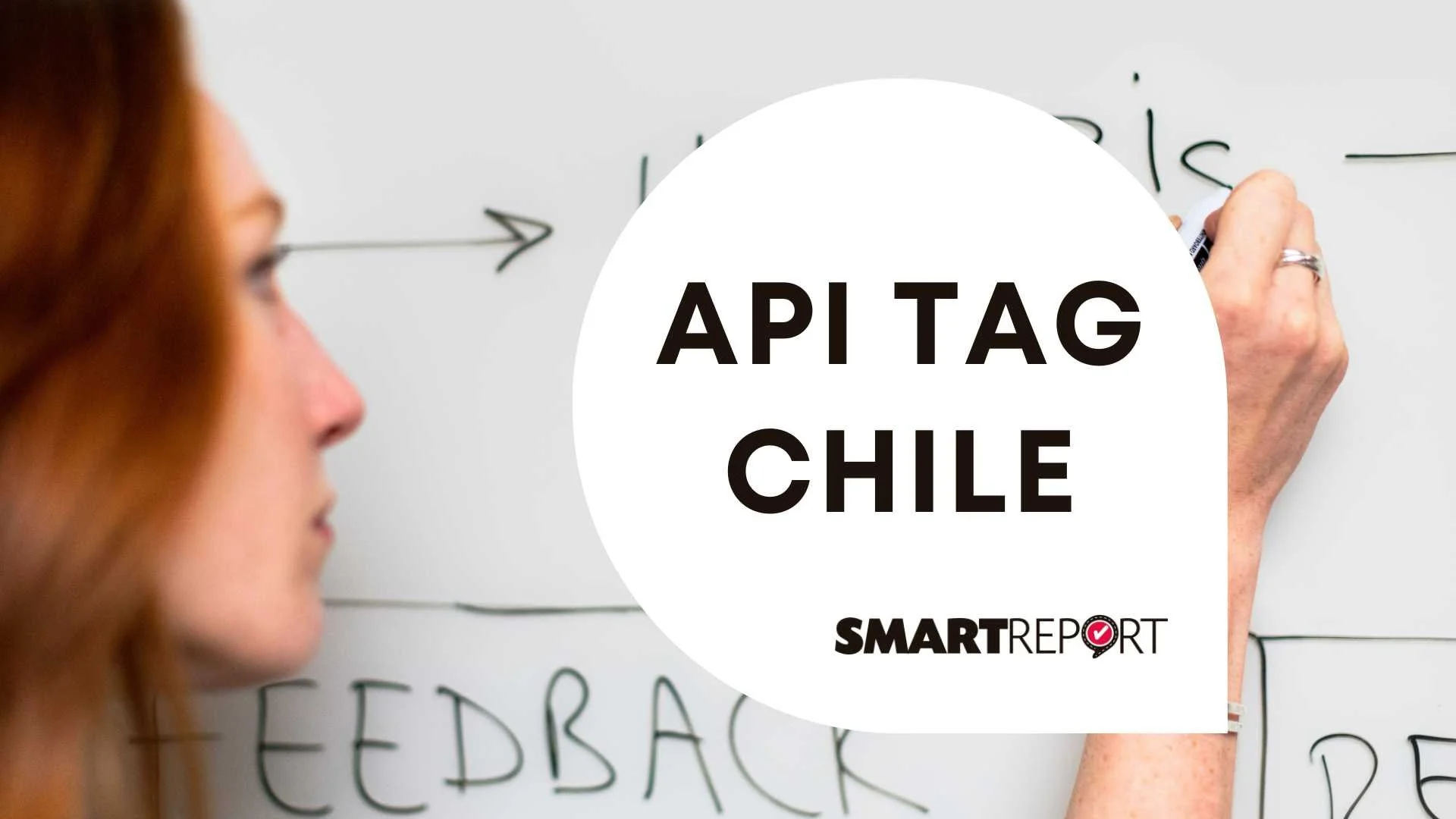 API TAG CHILE — Control y monitoreo de flota. Control gastos TAG y ...
