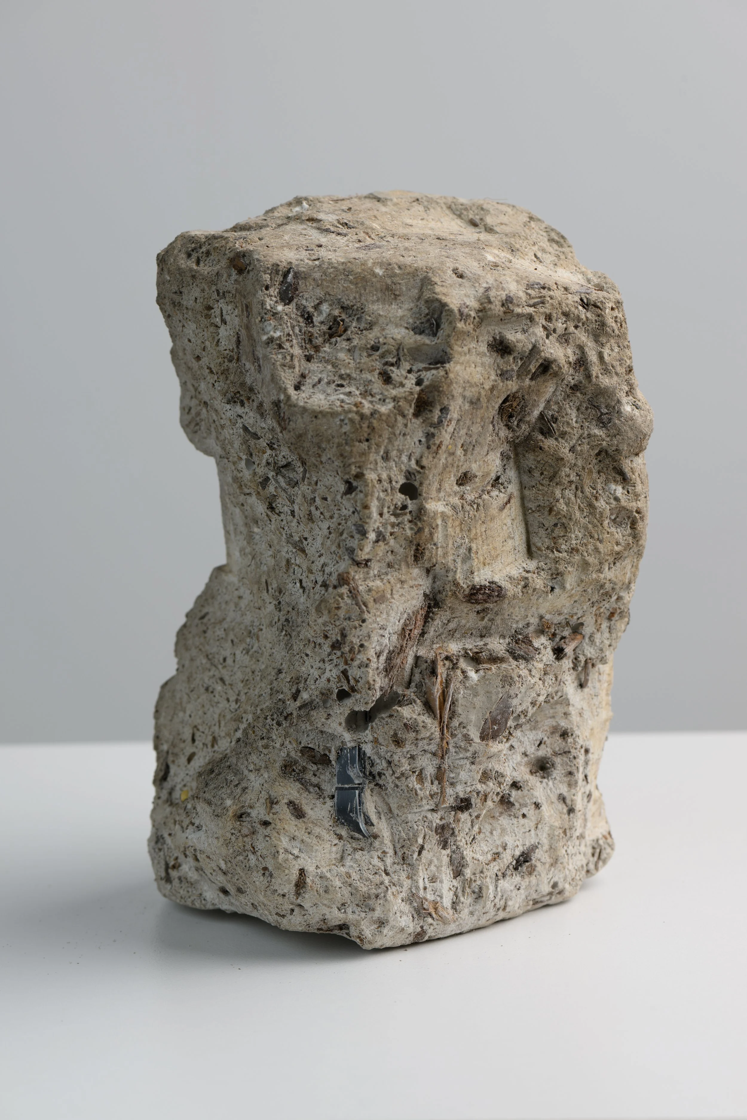 Archive of Digital Portraits Cast in Concrete — Blair Simmons