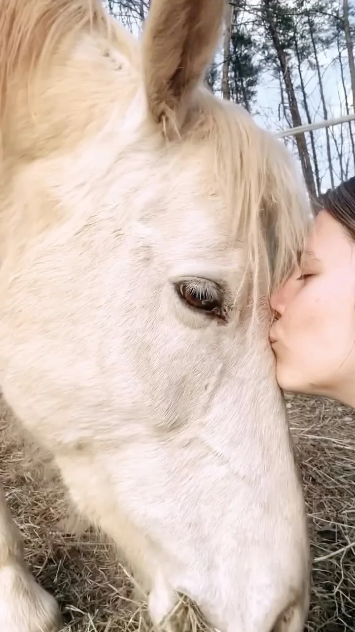 Intake Form — Resilient Equine