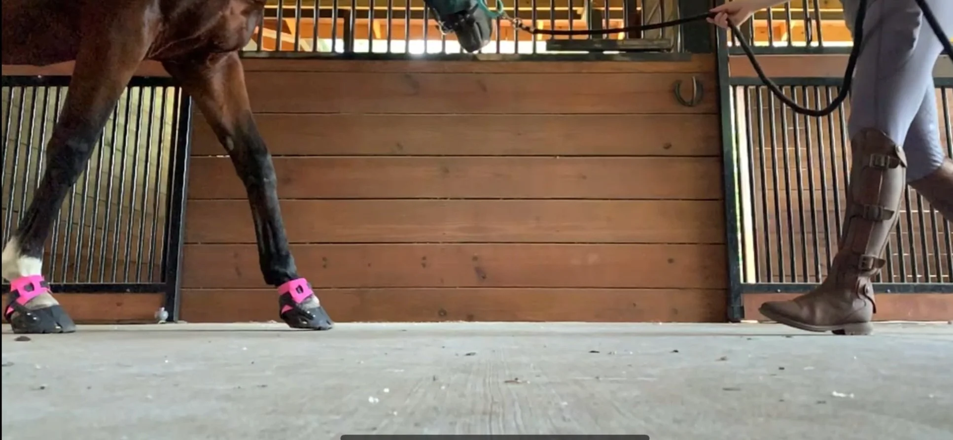 Warning Signs in Hooves — Resilient Equine