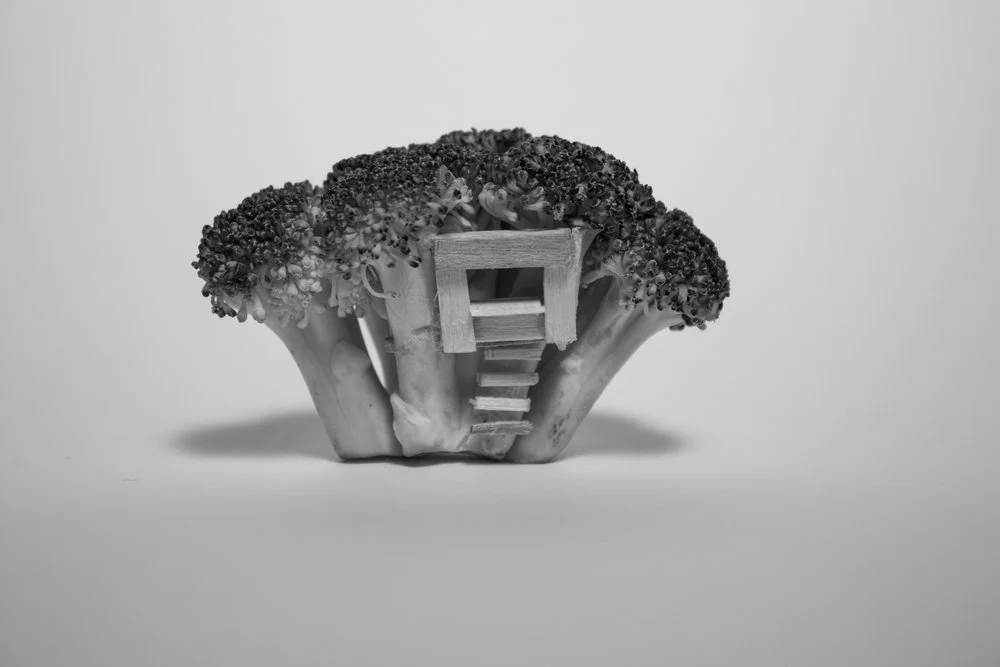 Surrealism — Mark Miclean