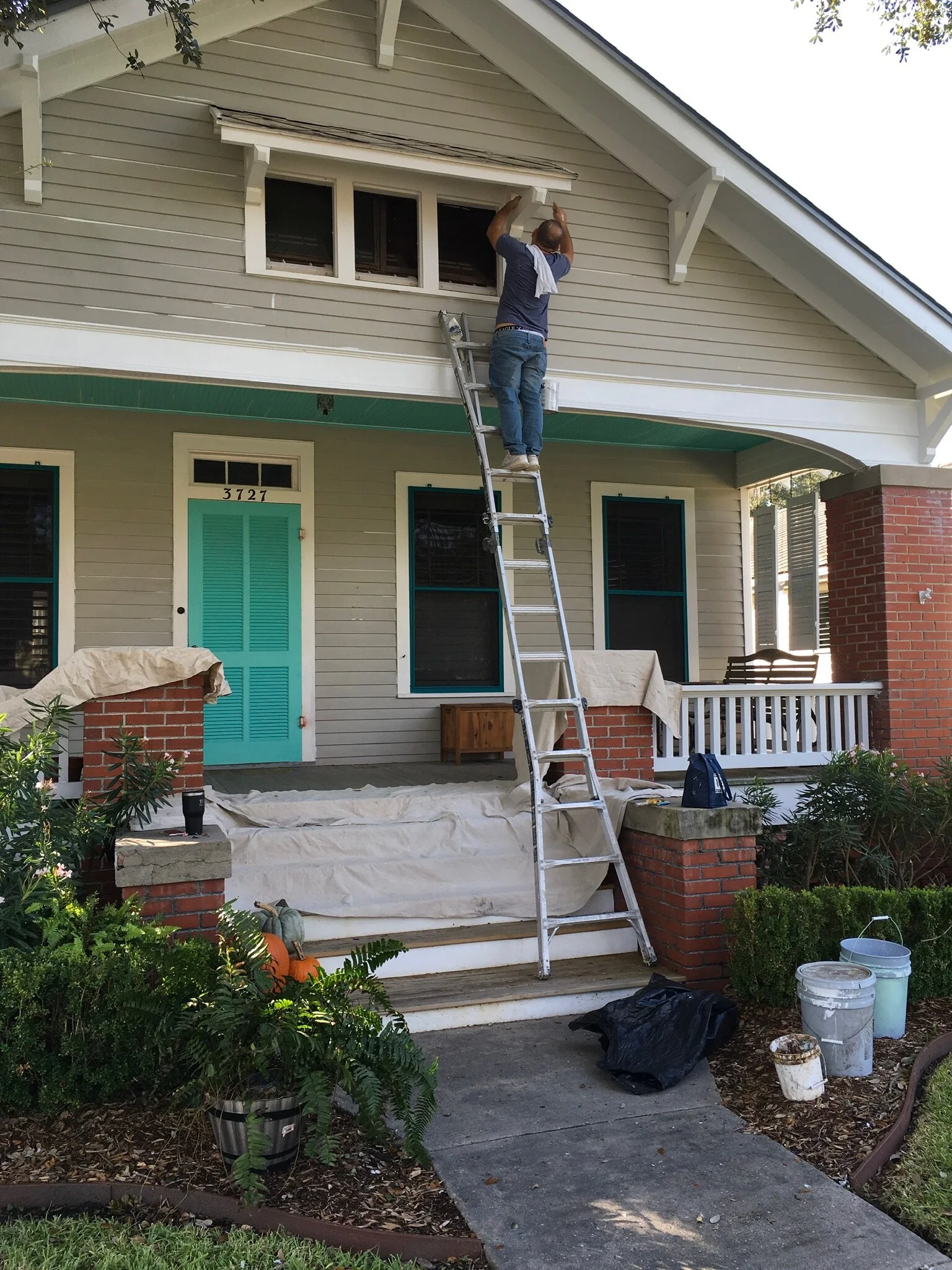 Fresh Paint — Whimsy