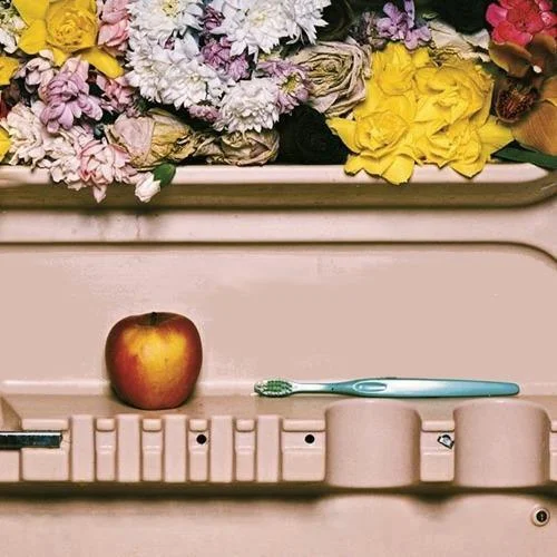 Lungs Photoshoot / The Florence + the Machine Fan Club