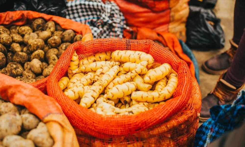 Food and Culture in Ecuador and Peru: A Foodie’s Guide to the Top 7 ...