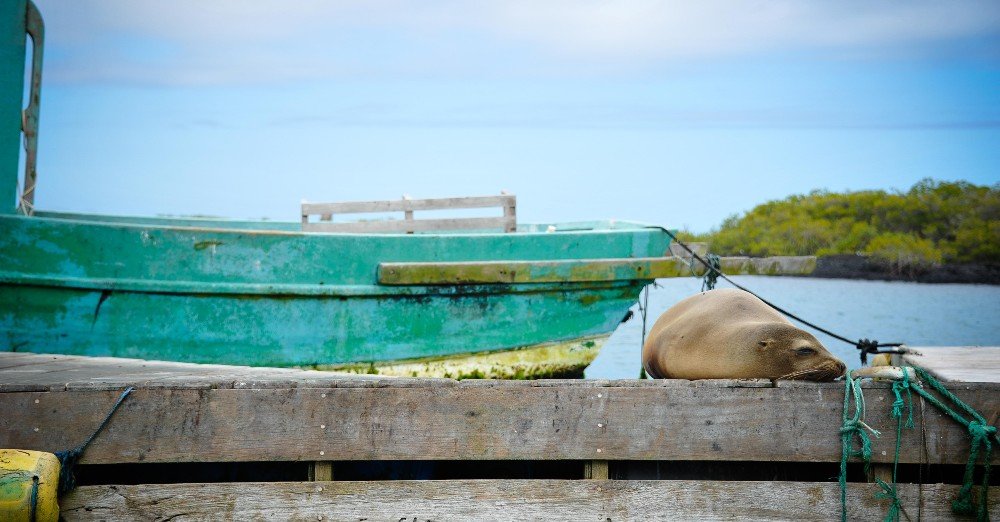 The Benefits of Ecotourism in the Galapagos Islands