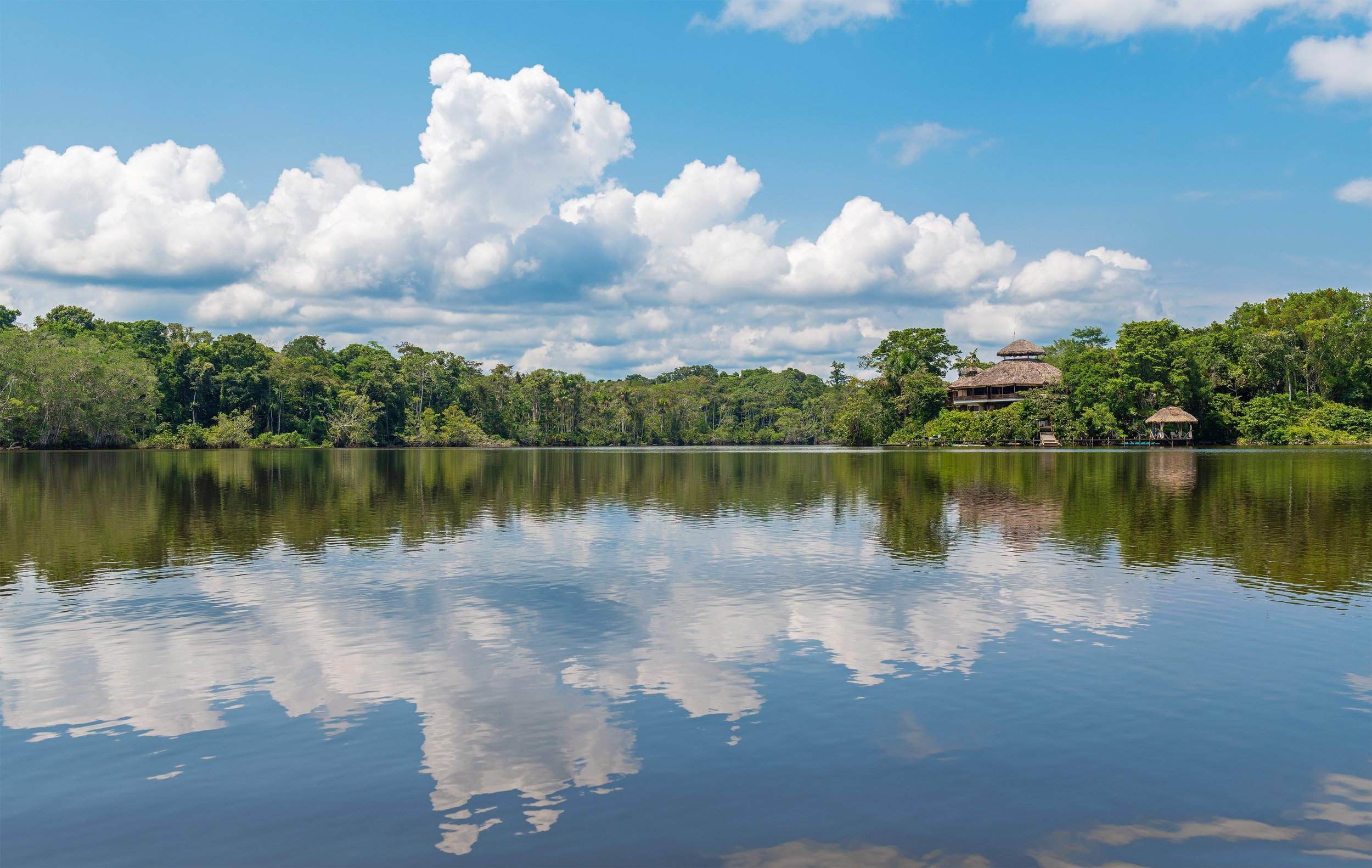 The Best Amazonian National Park in Ecuador: 6 Things to Know About ...