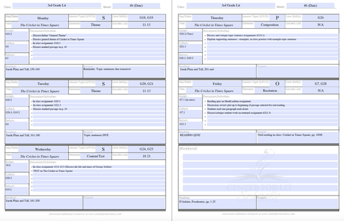 Daily Lesson Plan Template — CenterForLit Schools