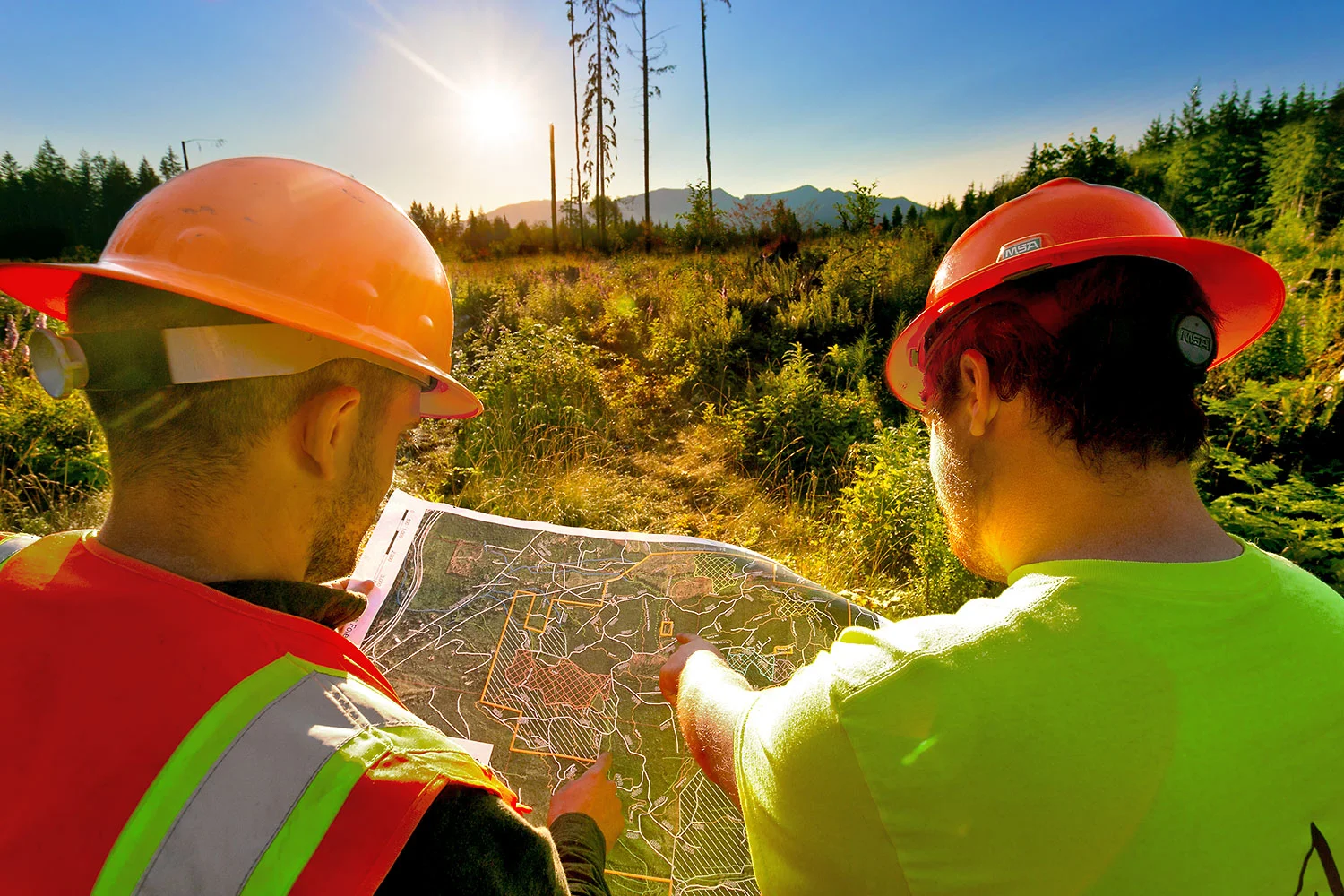 Janicki Logging & Construction