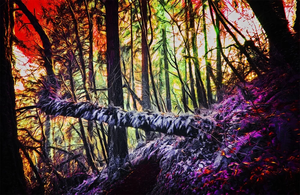 Ribbon Trail — Don Myers Photography