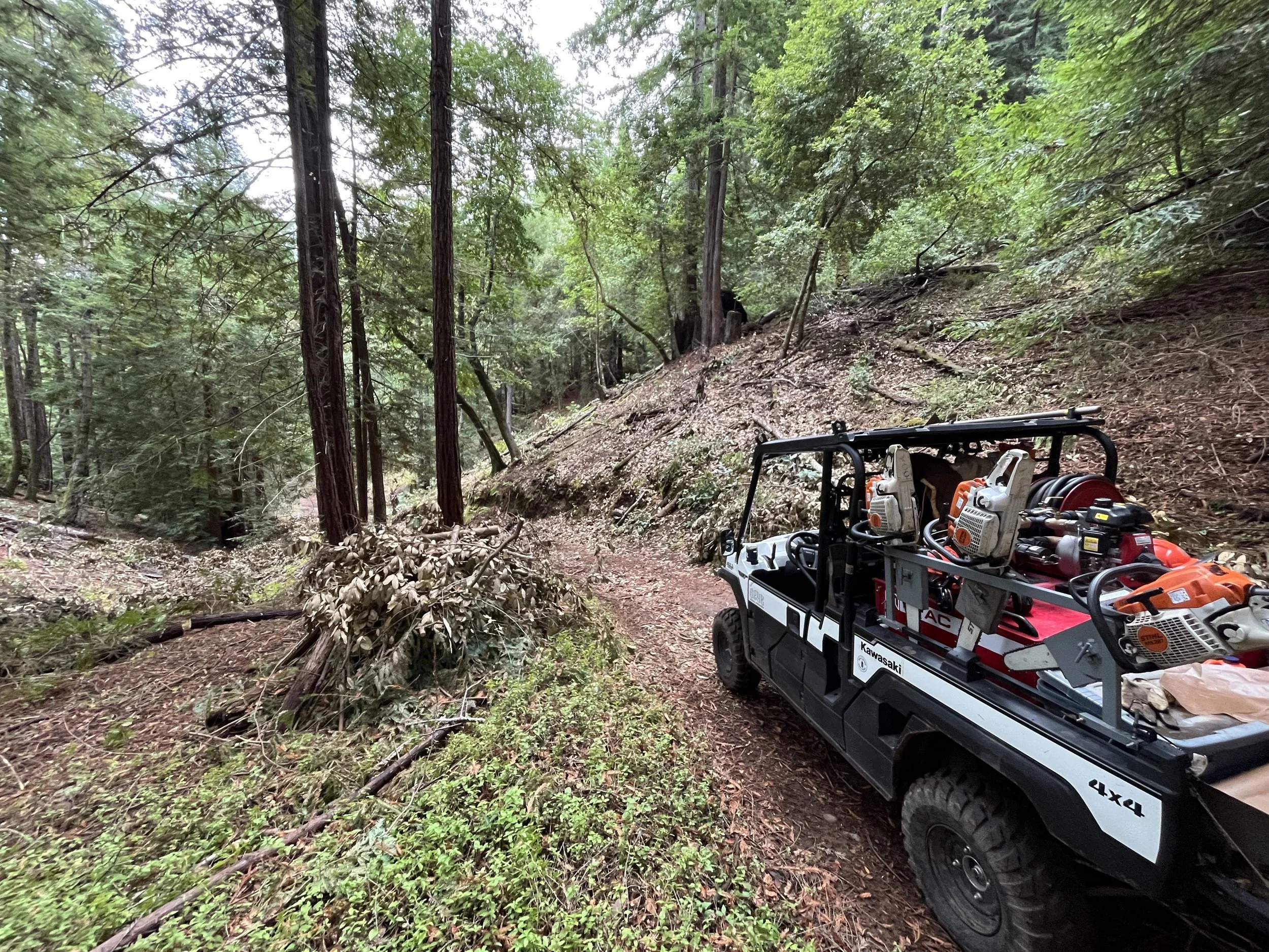 Monte Rio Redwoods Shaded Fuel Break — Spye Conservation Incorporated