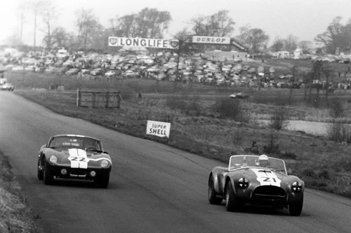 Shelby Cobra Daytona 1965 Season Review — Supercar Nostalgia