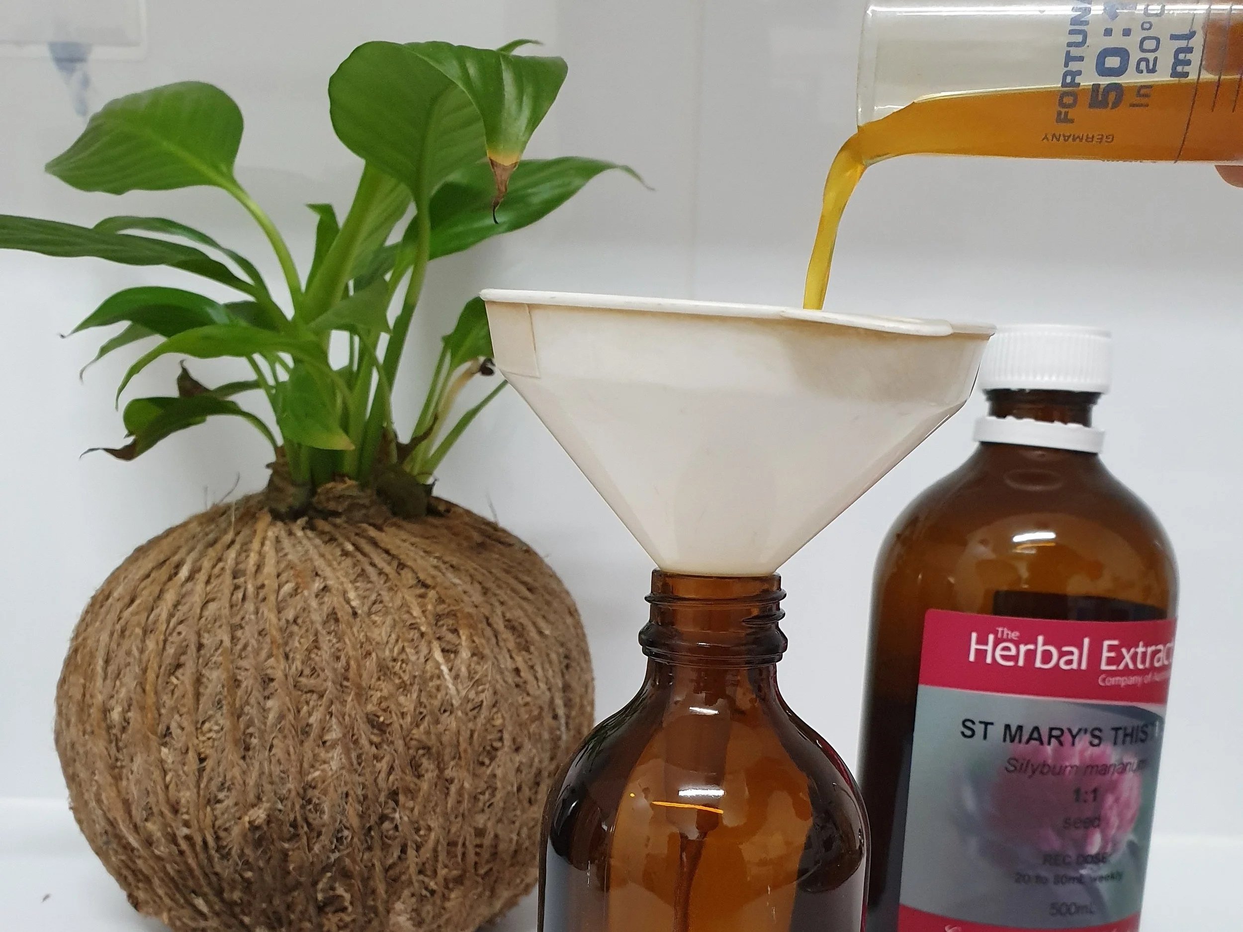 Lisa Scarfo Naturopath