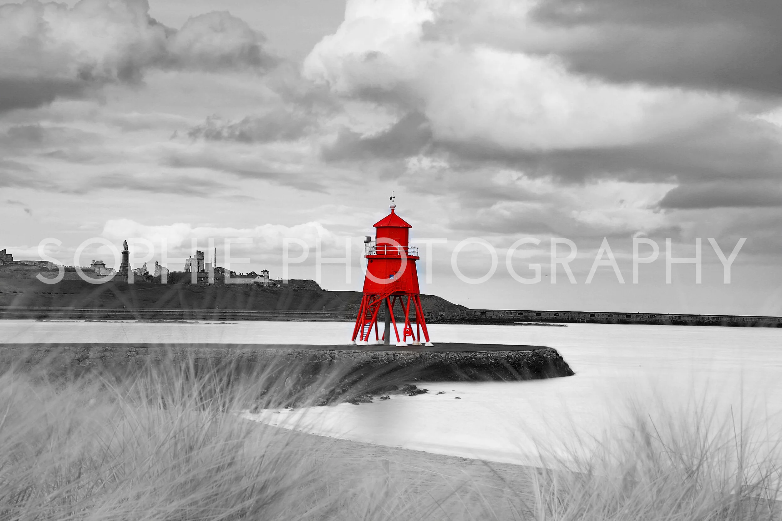 Colour Pops — Sophie Photography