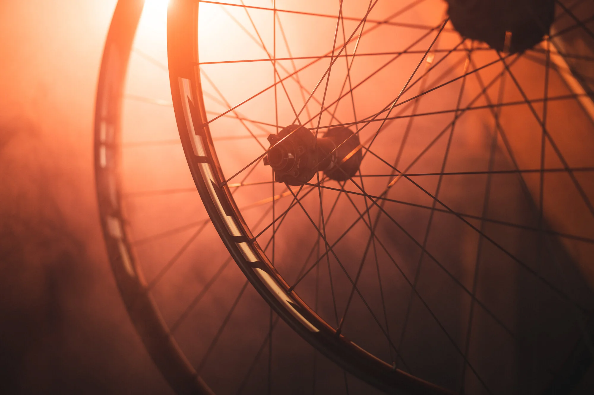 Carbon vs Alloy Wheel Showdown — Biker's Edge