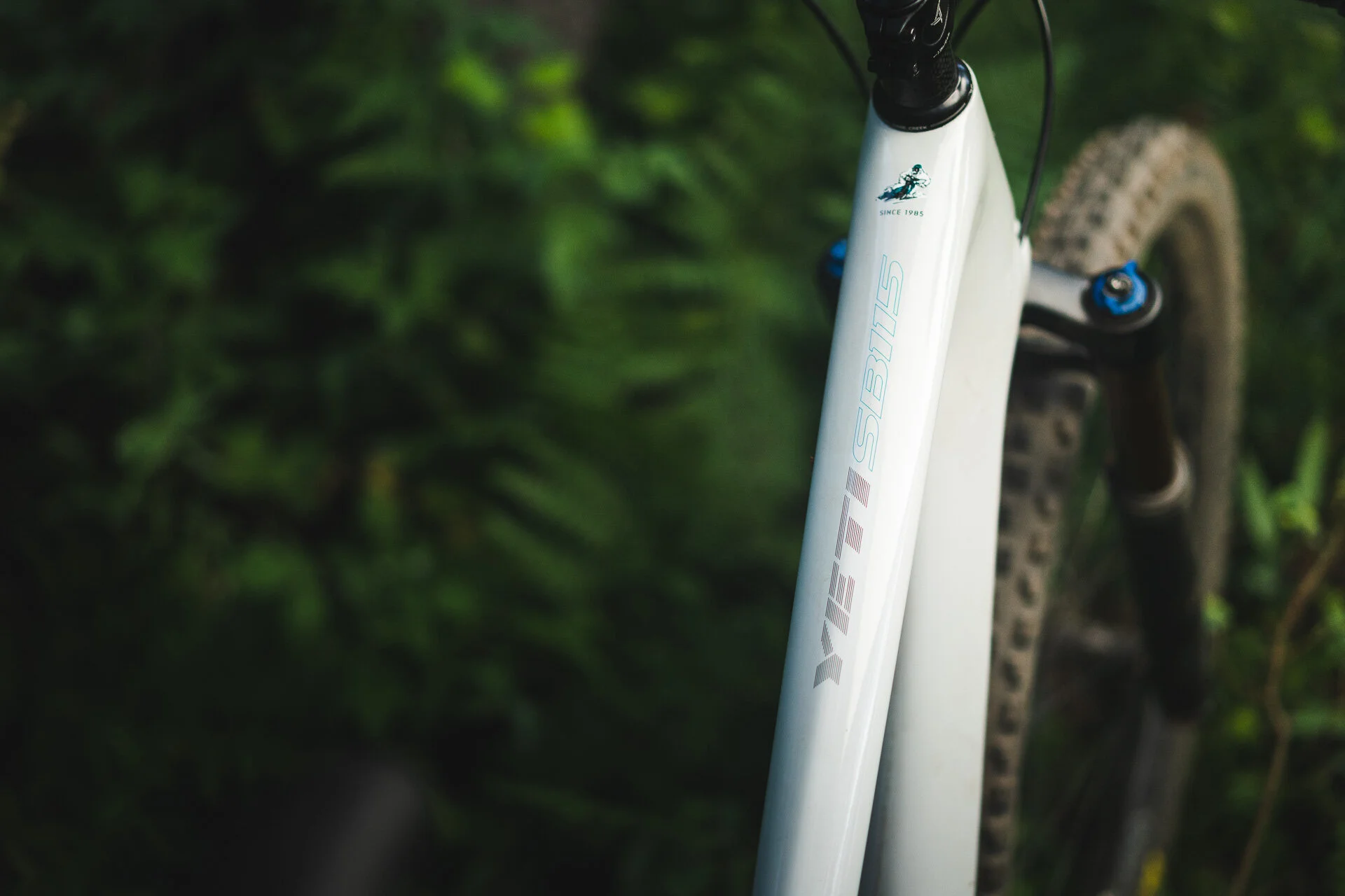 Yeti SB115 Review: It's not an XC bike — Biker's Edge