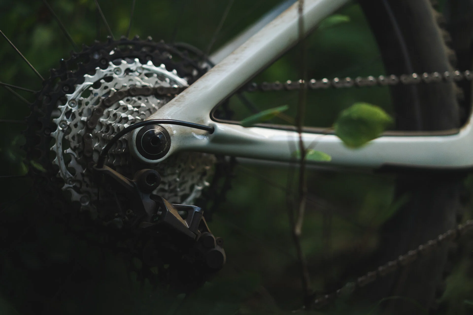 Yeti SB115 Review: It's not an XC bike — Biker's Edge