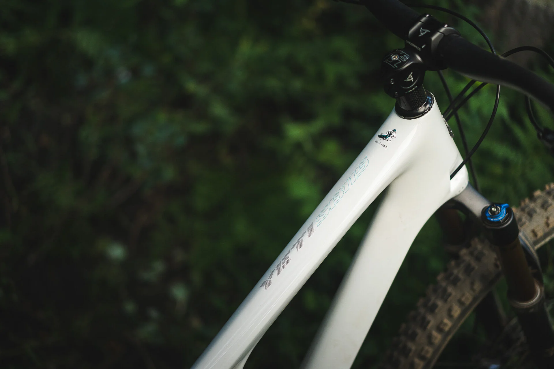 Yeti SB115 Review: It's not an XC bike — Biker's Edge