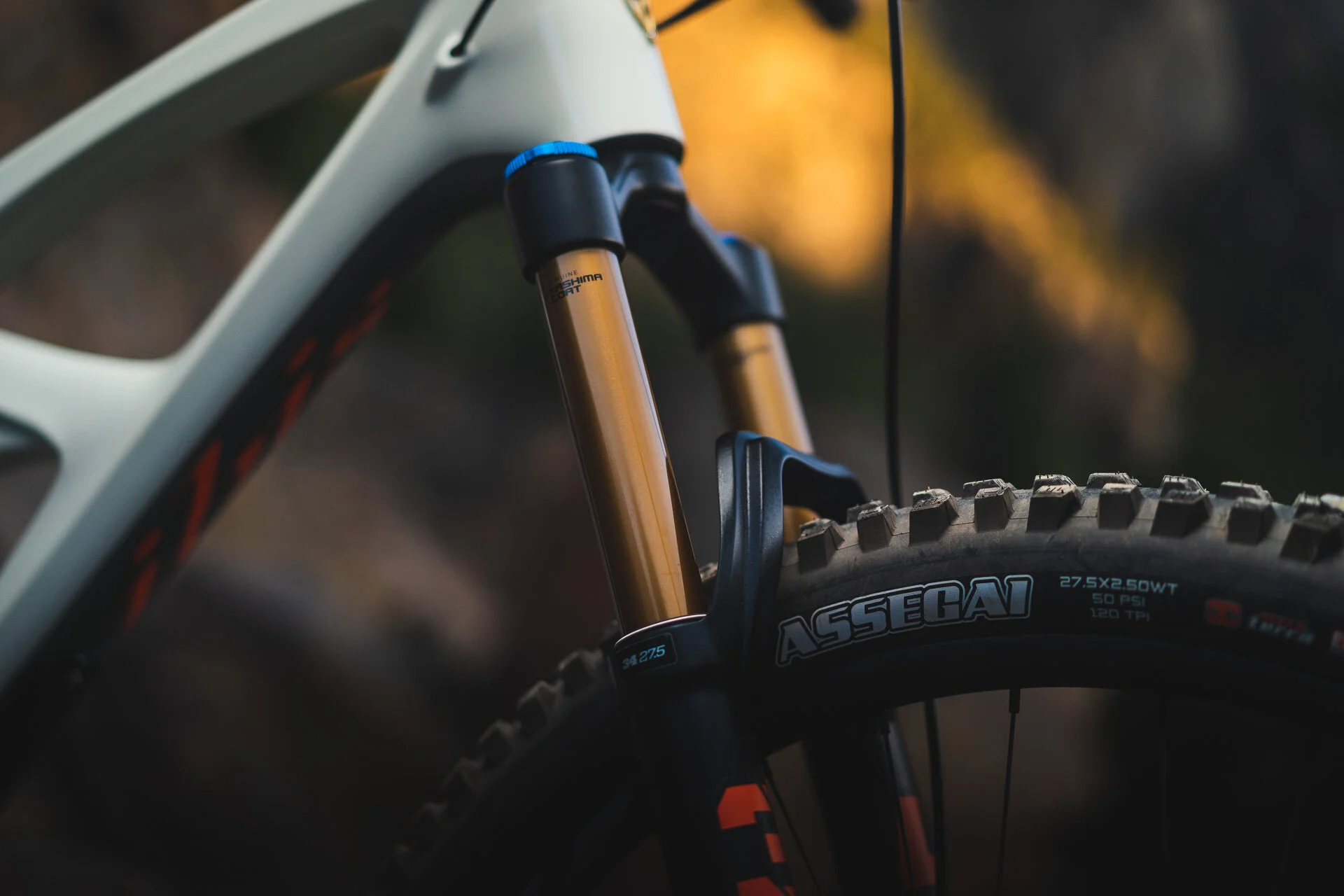 Ibis Mojo 4 Review: I've Got my Mojo Back — Biker's Edge
