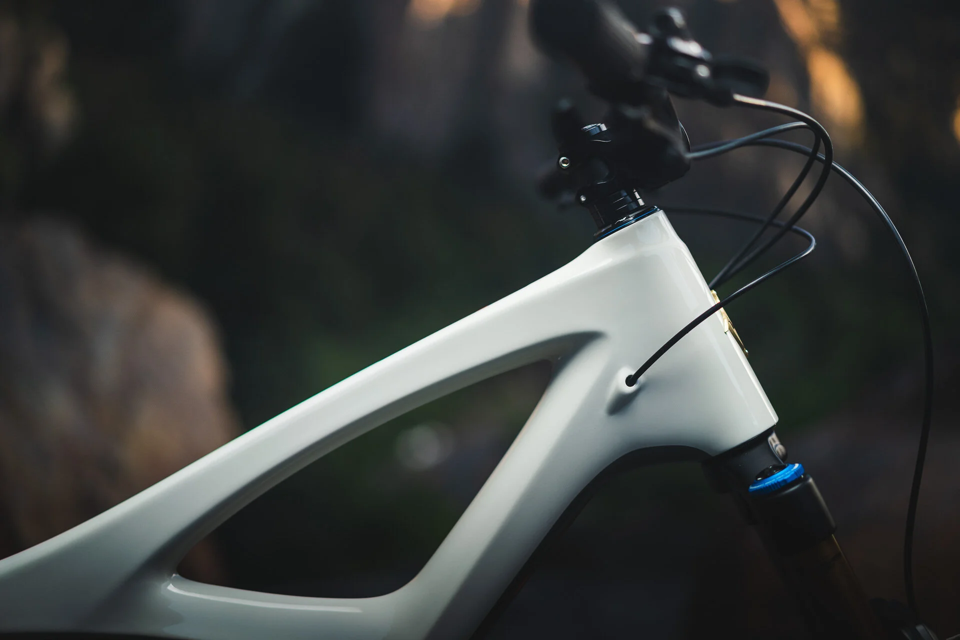 Ibis Mojo 4 Review: I've Got my Mojo Back — Biker's Edge