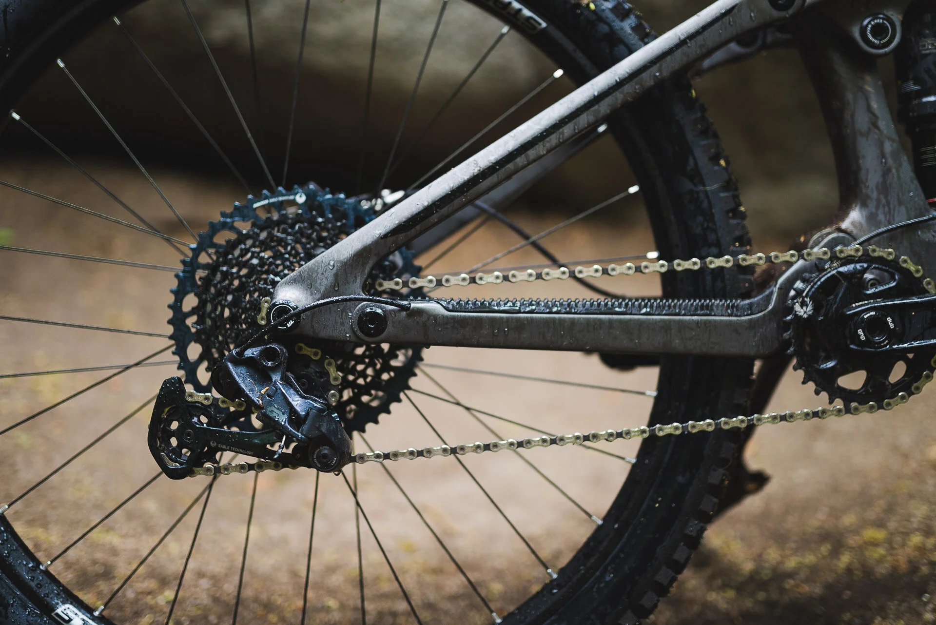 Transition Sentinel Review — Biker's Edge