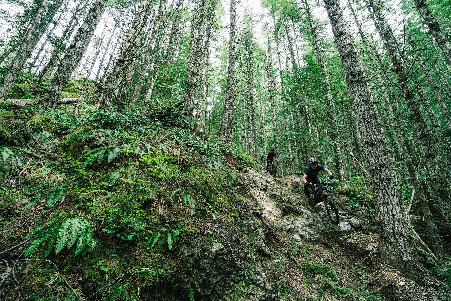 Transition Spire: First Look — Biker's Edge