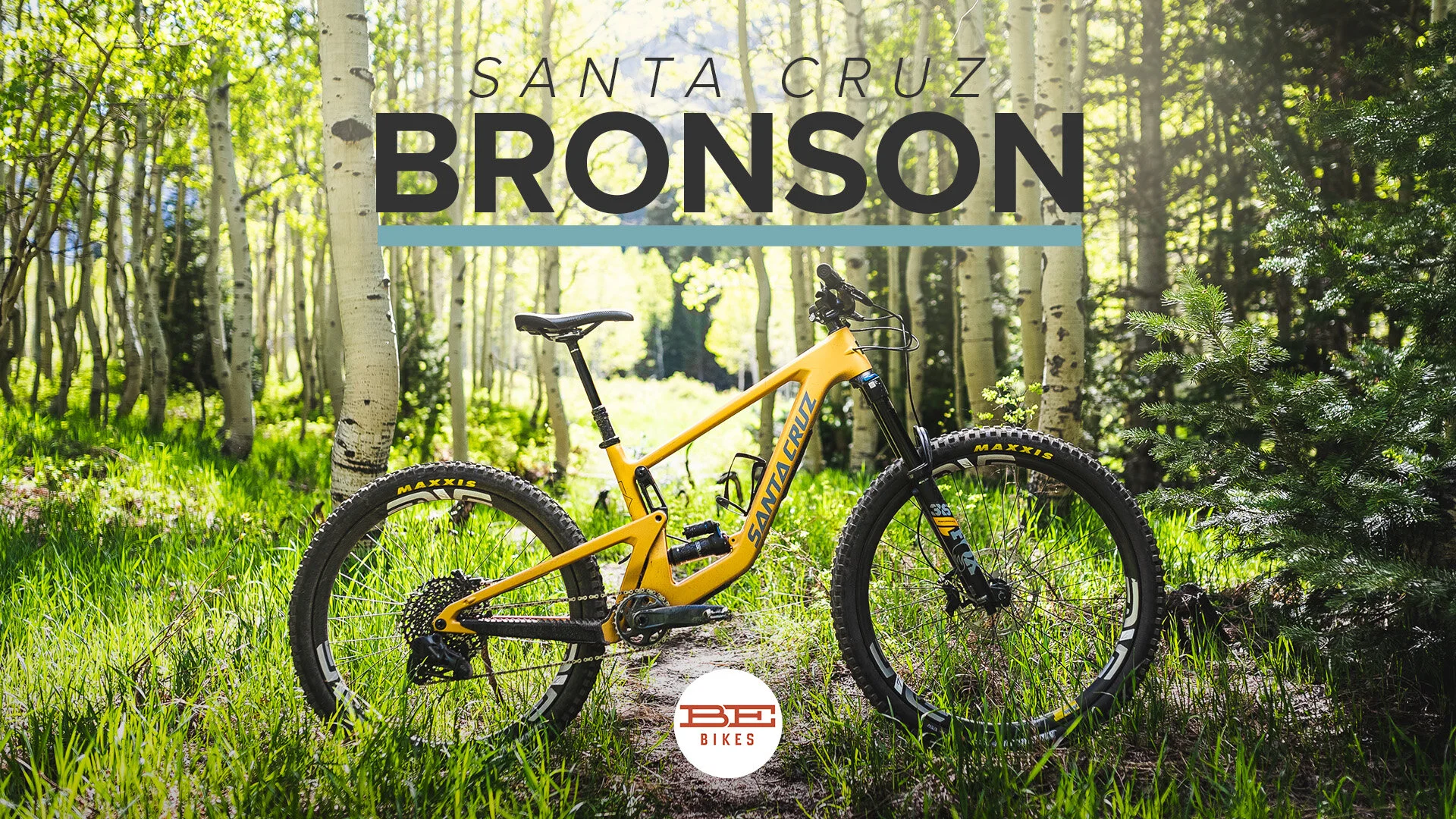 Santa Cruz Bronson Review: It Goes Mullet Mode — Biker's Edge