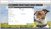 Paws-e-Track | Pet Aftercare Tracking Software | Cremation | Memorials ...