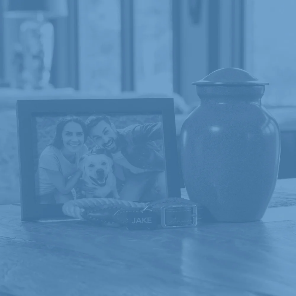Gateway Services Inc. - The best in Pet Aftercare