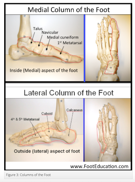 Back On Our Feet - 5 - Tripod Foot — Your Movement Mentor
